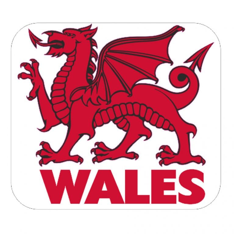 Wales/Cymru Dragon car sticker - Sign Writers | Chimera Graphics